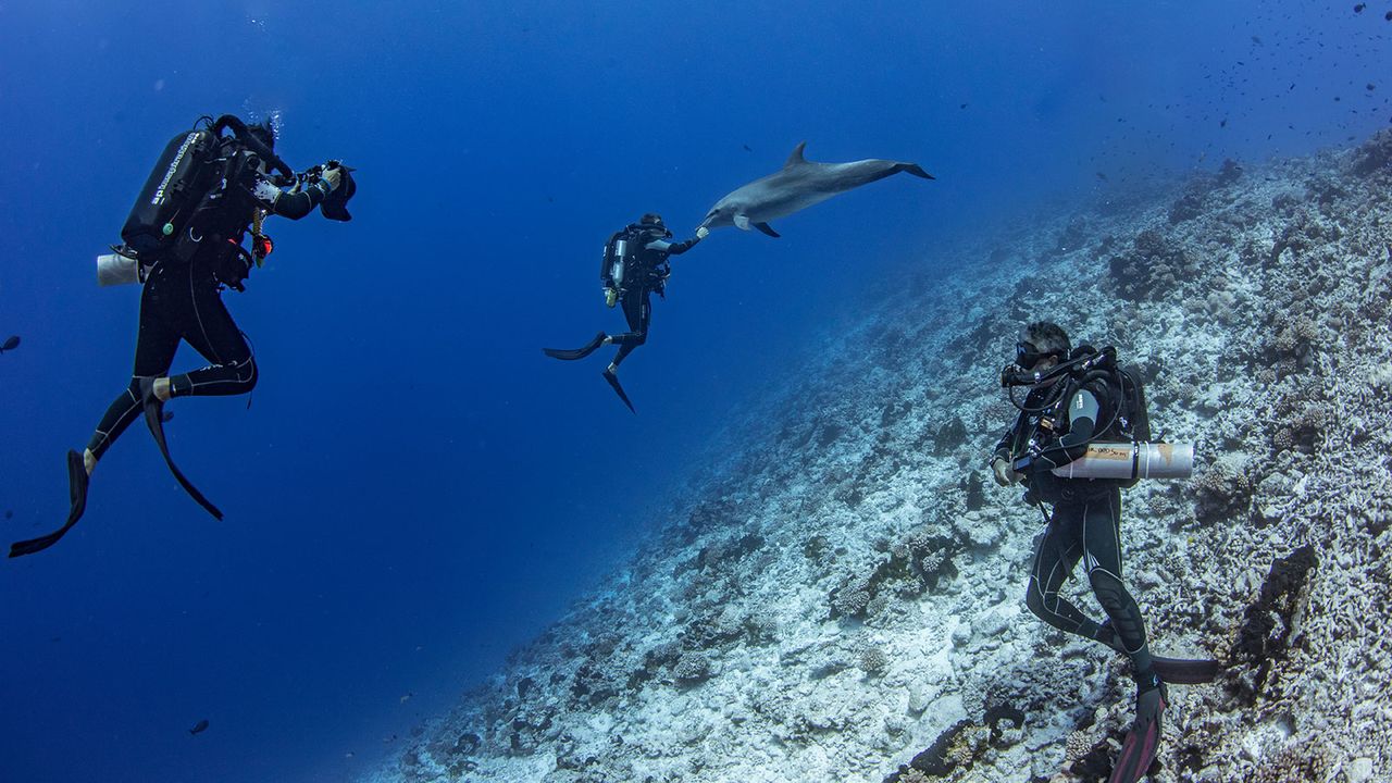 Five Yacht-Crew Approved Diving Spots